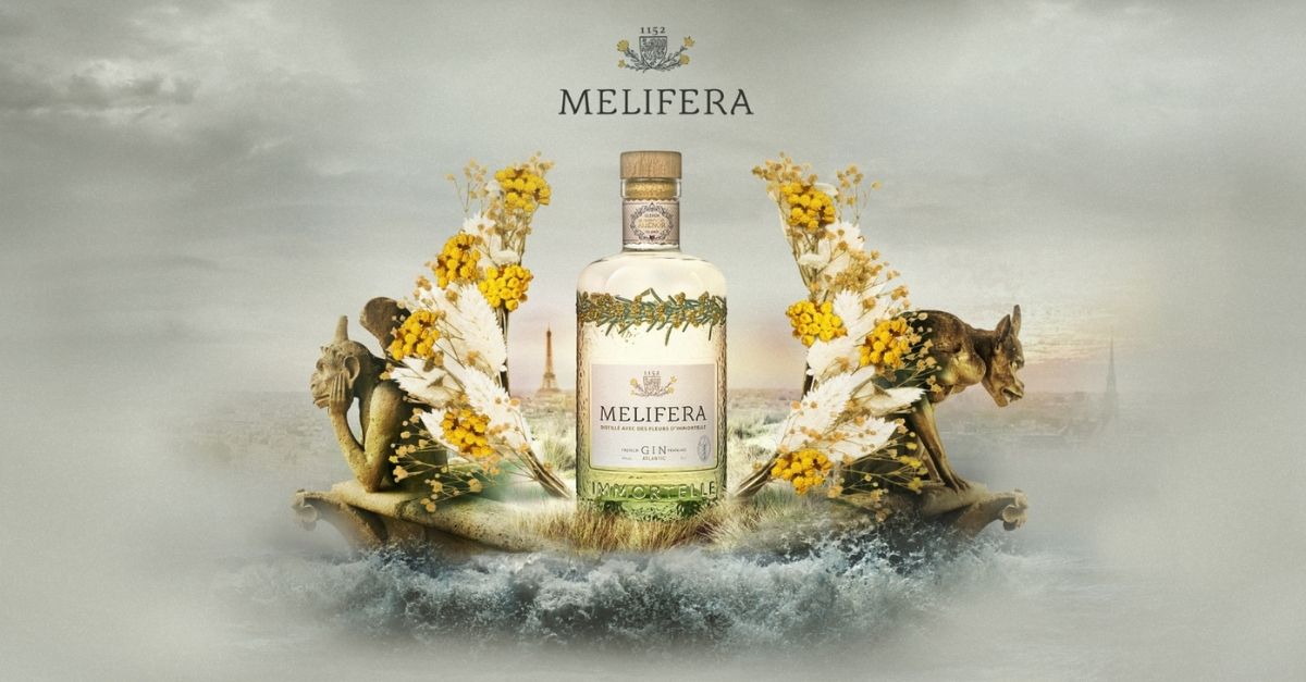 Melifera Gin Case Study | Hrastnik1860